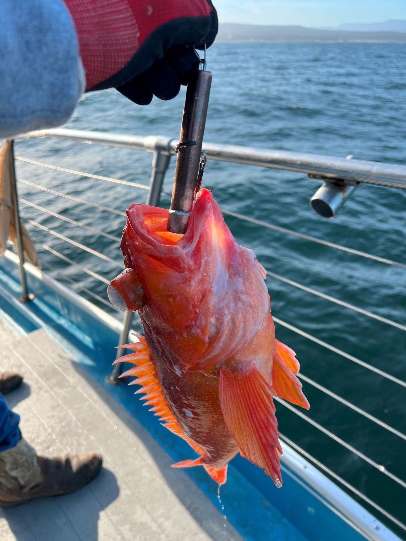 Pipe Jig Photo Gallery – RockFishingLures.com